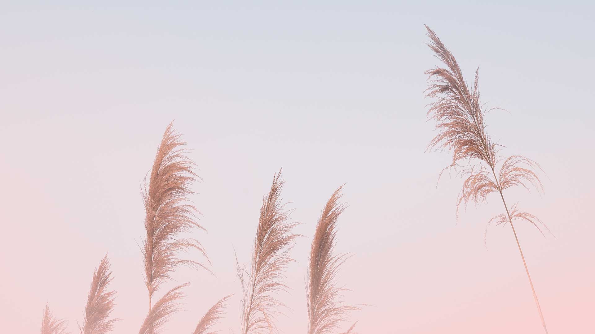 Licensed Clinical Psychologist Services